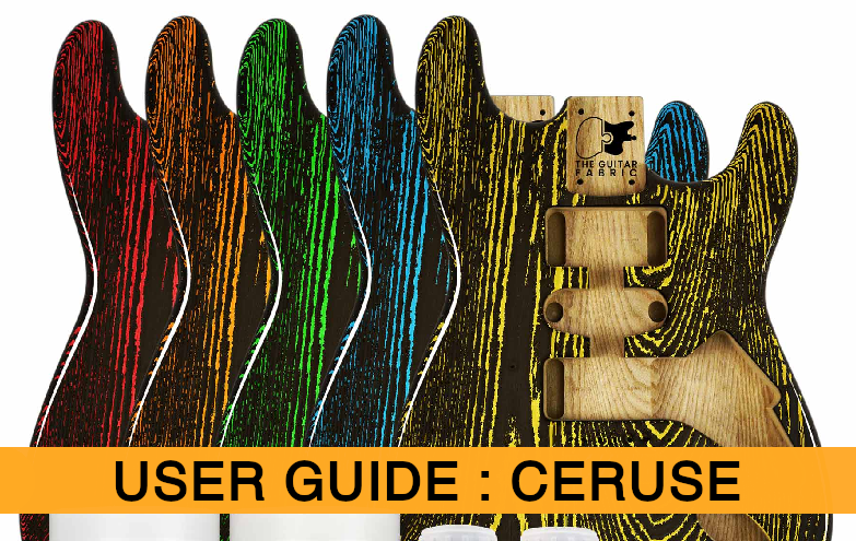 Rickenbacker Guitar Kit: Comprehensive User Guide